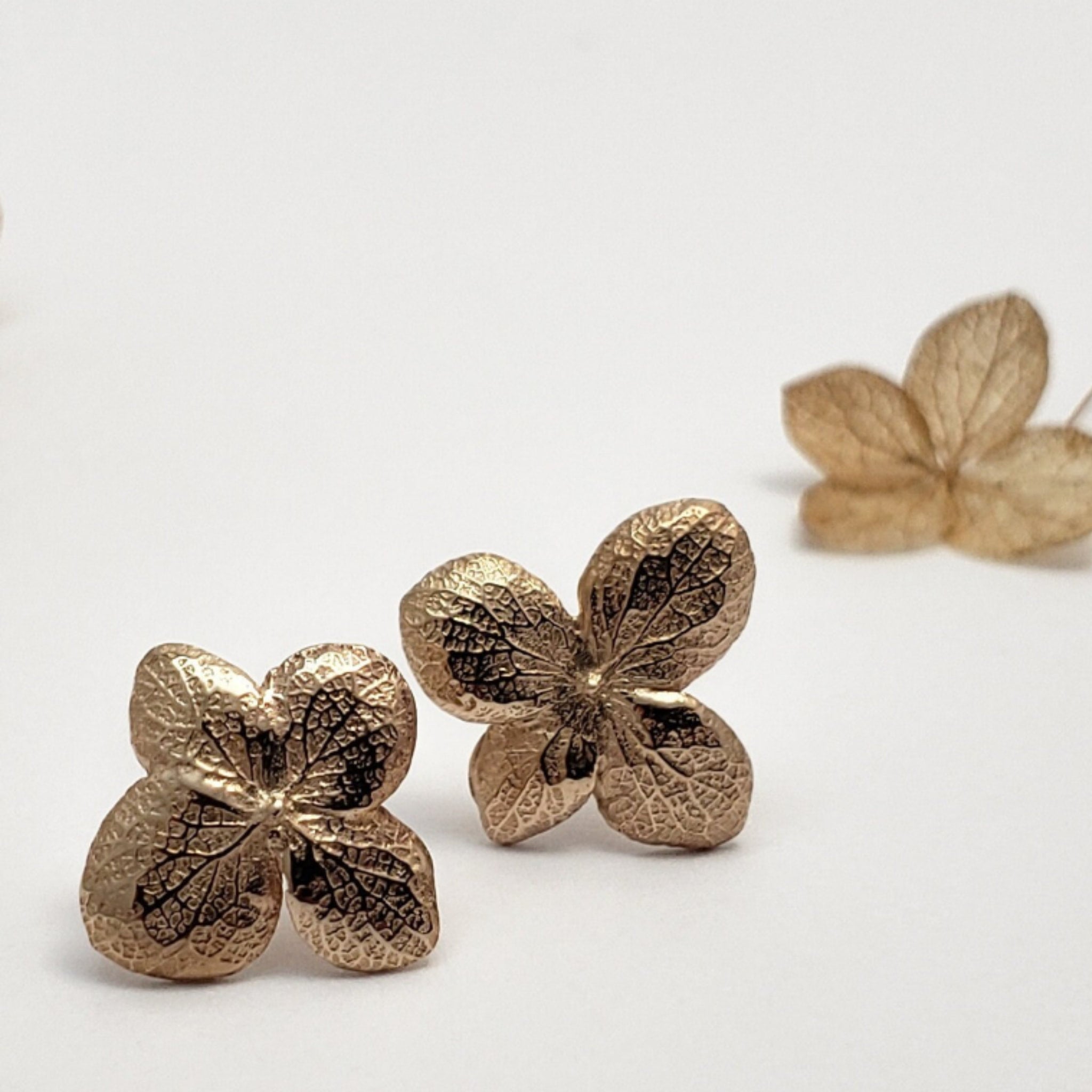 Bronze Hydrangea Stud | Dianne Rodger Jewellery